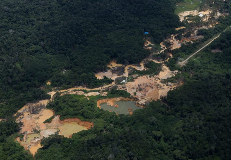 Desmatamento causado pelo garimpo ilegal em 2021 supera o ano passado