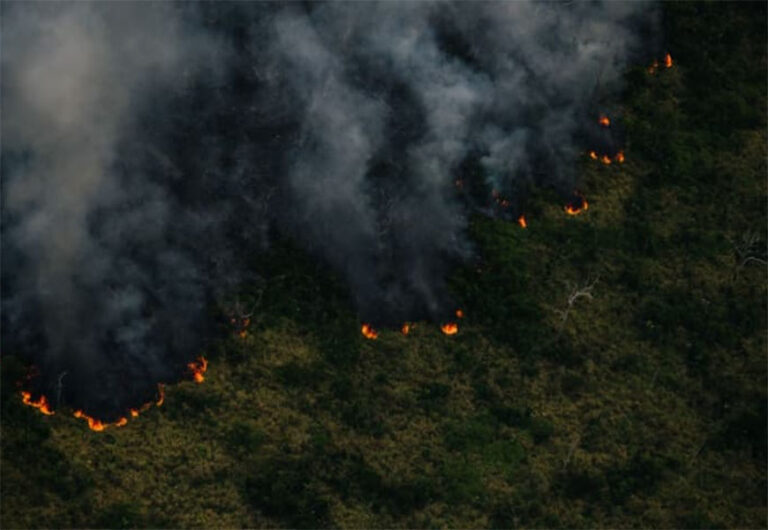Dia do Fogo 2 – Amazônia registra maior média diária de queimadas do ...
