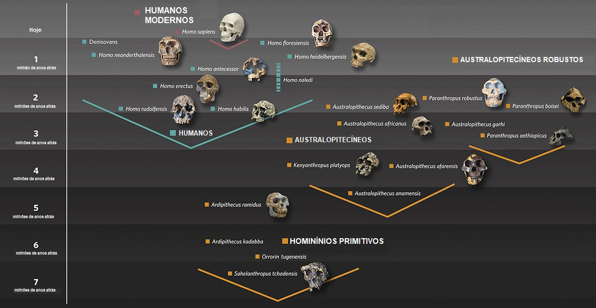 Quando surgiu o gênero Homo? A mandíbula de Ledi-Geraru, Etiópia